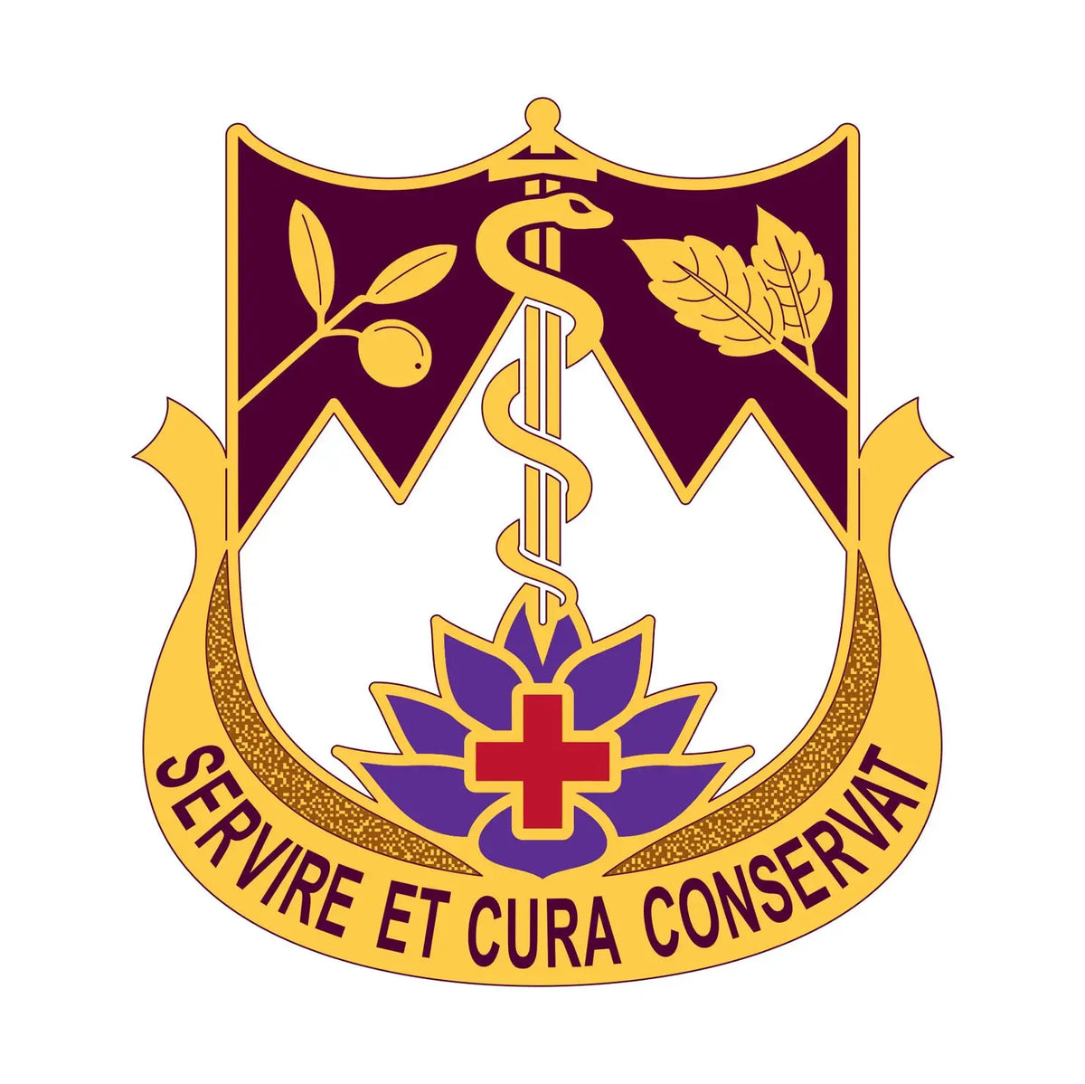 Official 627th Hospital Center U.S. Army Merchandise