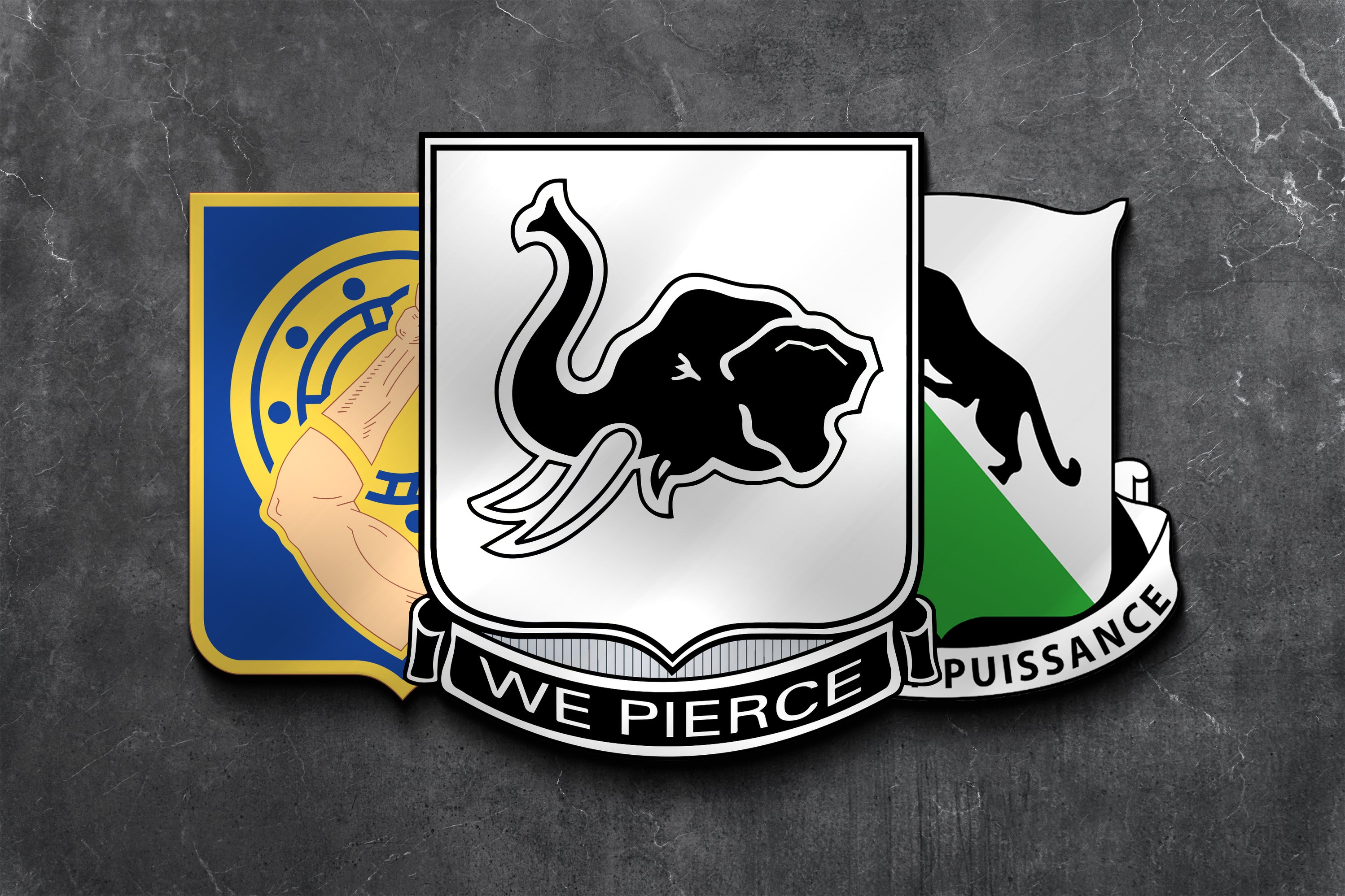 Shop U.S. Army Armor Branch